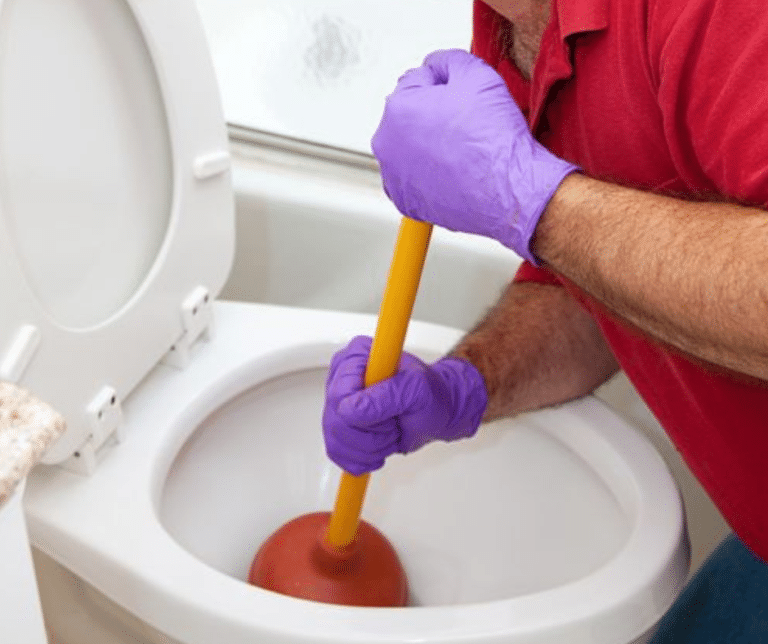 6 Things You Should Never Flush Down the Toilet | Reid & Pederson